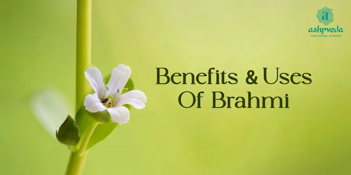 Benefits Of Brahmi & How To Use It | Ashpveda Blog